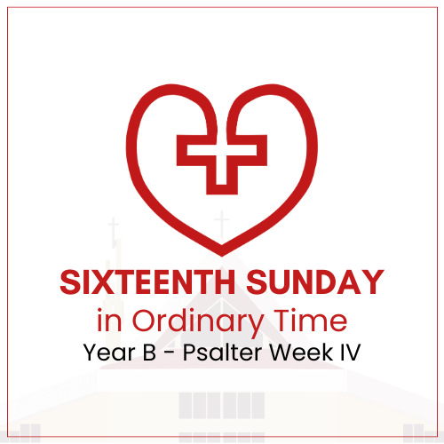 16th Sunday in Ordinary Time – Year B – Sacred Heart Cathedral Kota ...